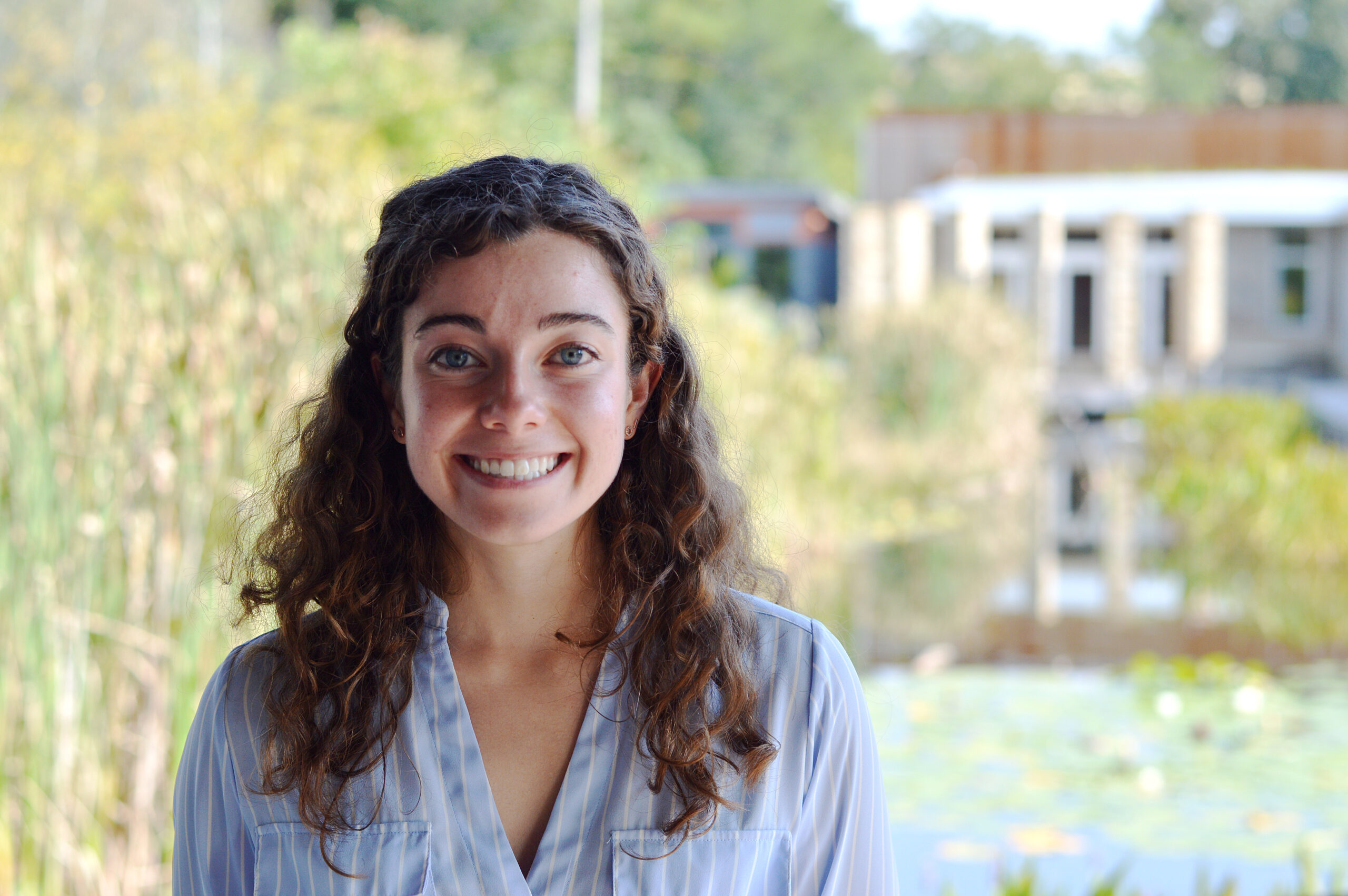 Herbs in Action 2019 | Neighborhood Voices